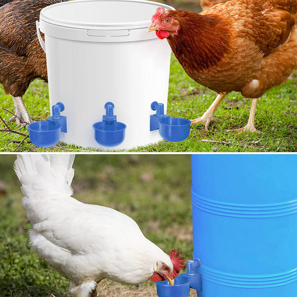 Plastic Automatic Poultry Drinker Chicken Drinking Bowl Chicken ...