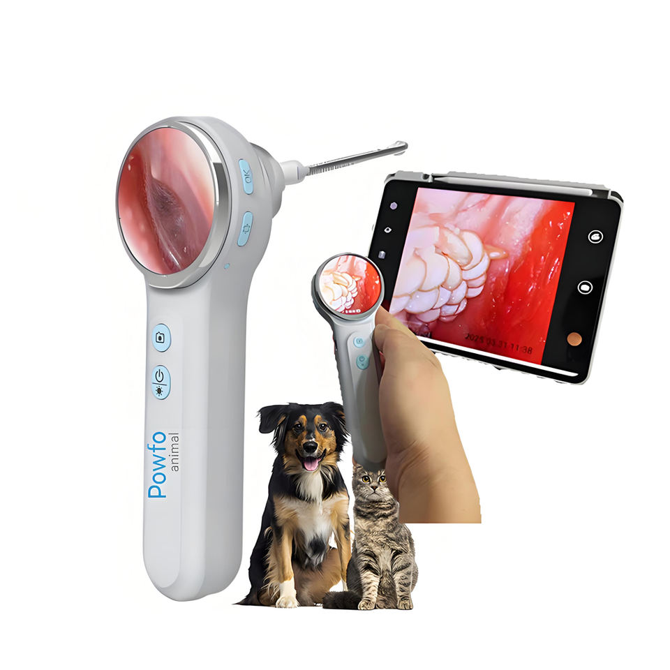 Hot Selling POE-100 Veterinary Otoscope HD 1 Million Pixel Ear Canal ...