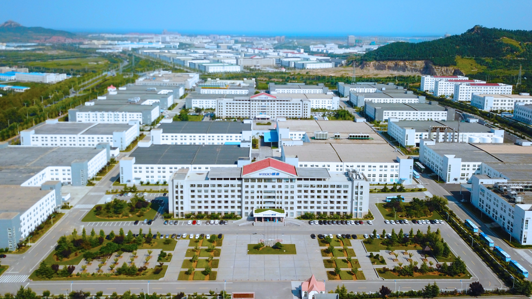 Shandong Weigao Group Medical Polymer Co., Ltd.