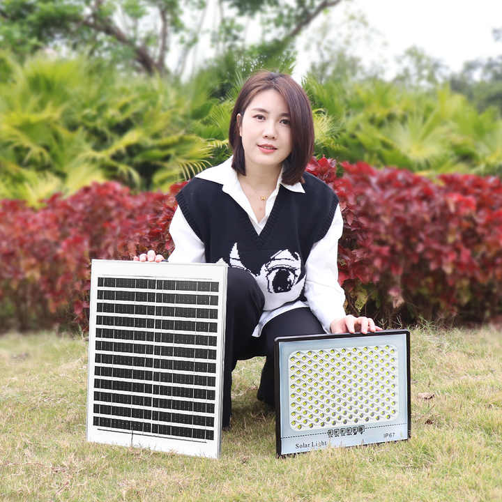 Custom Logo 150W Solar Powered LED Floodlight with Modern Design ...