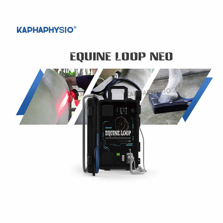 KAPHAPHYSIO Veterinary Equine PEMF Therapy Machine 635nm 785nm Magnetic ...
