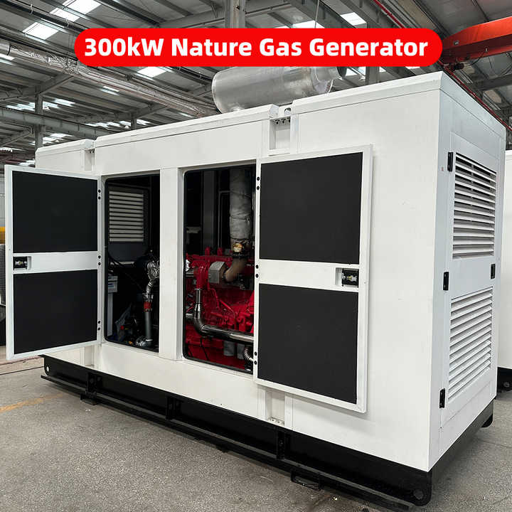CNG LPG LNG Hydrogen Biogas Propane Chlorine Generators