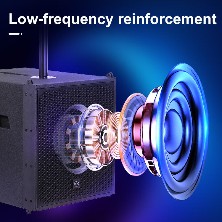 Accuracy Pro Audio LAP615TD3-4.6K Wooden Sound System