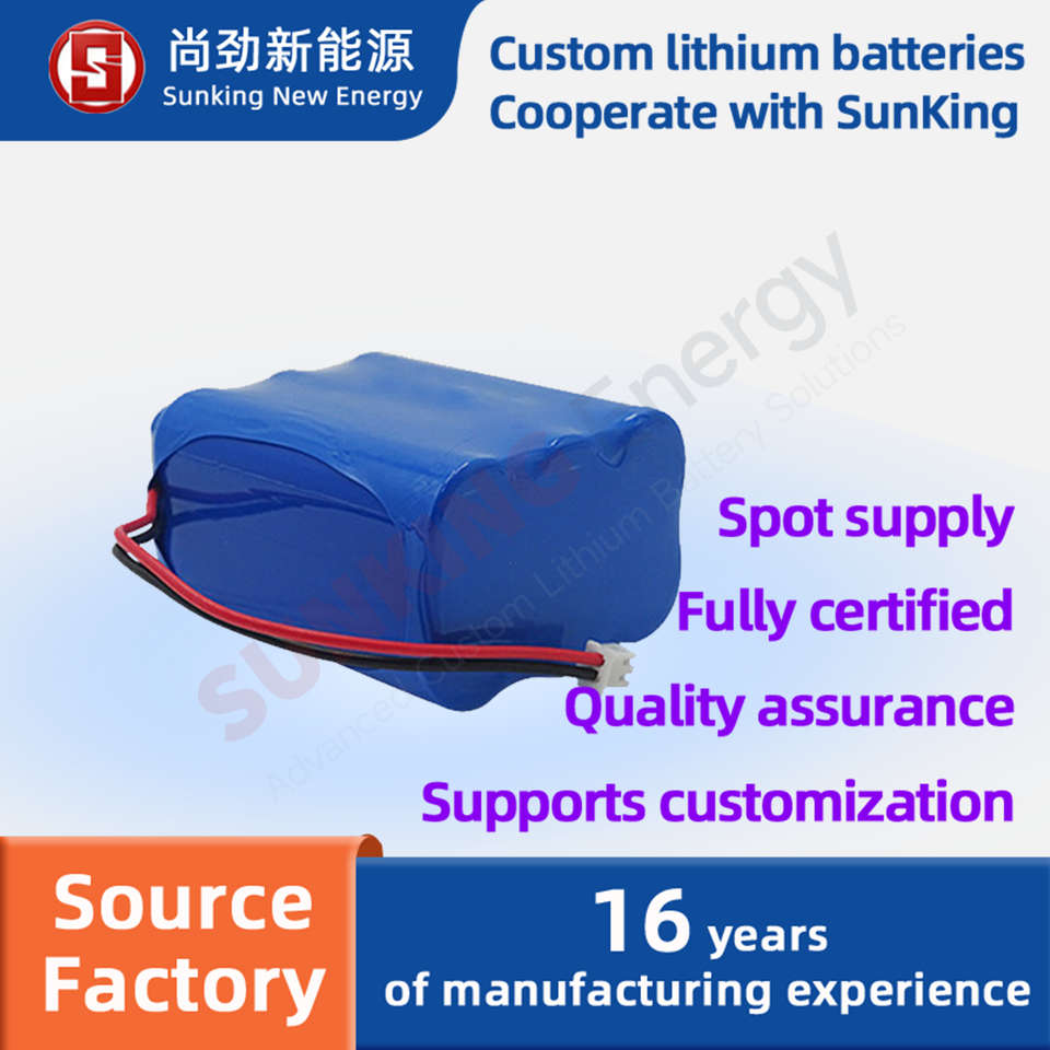 Wholesale Lithium Battery Pack 12V 24V 36V 48V for Air Pump E-Bike ...