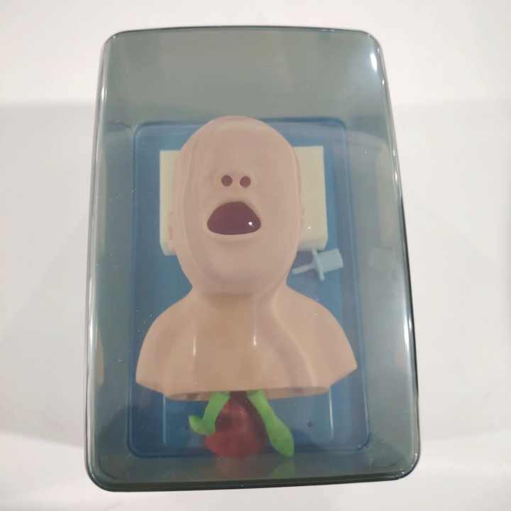 Neonatal Tracheal Intubation Model - Medical Training Manikin