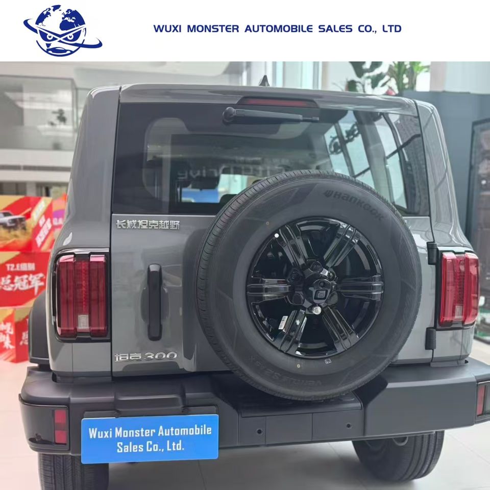 Tank 300 SUV Gasoline-Powered 2025 Model with Panoramic Sunroof LED ...