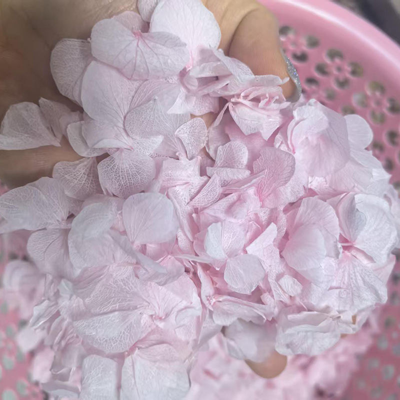100% Biodegradable Eco-friendly Wedding Confetti Beautiful Real Dried ...