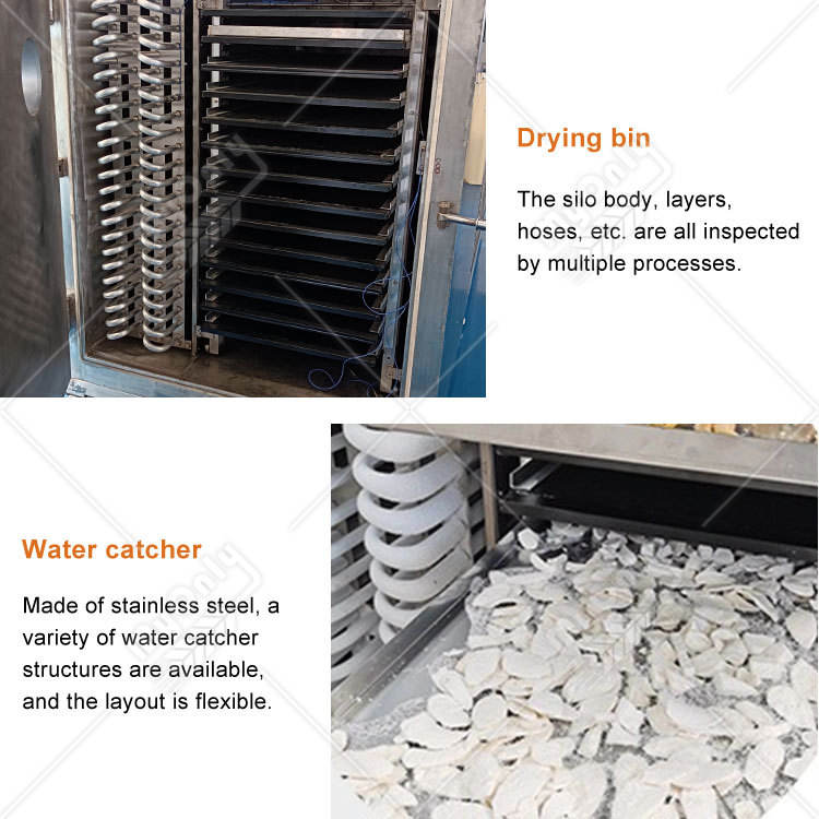 MY Industrial Liofilizador De Alimento Fruit Freeze Drying Machine ...