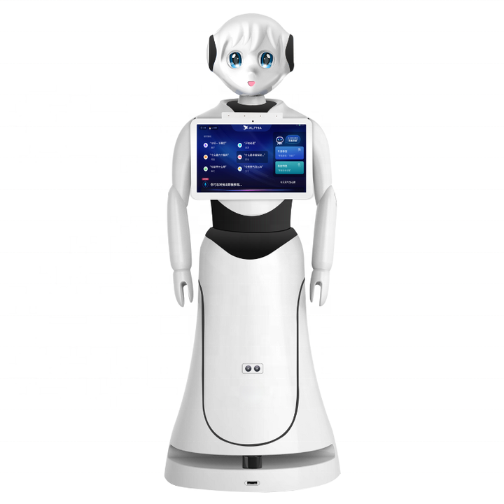 Factory Direct Sales Welcome Robot Alice Robot Humanoids Guiding ...