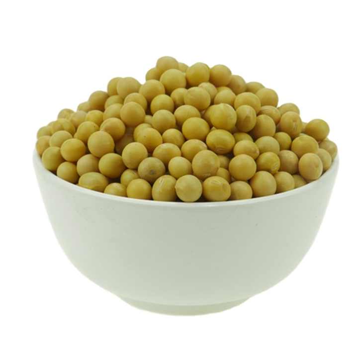 2024 Crop Chinese High Protein Soya En Grano Yellow Soybean for Sale