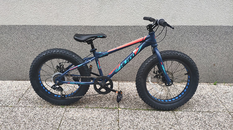 How to Choose the Best Fat Tire Bike 29 Inch: Expert Buying Guide