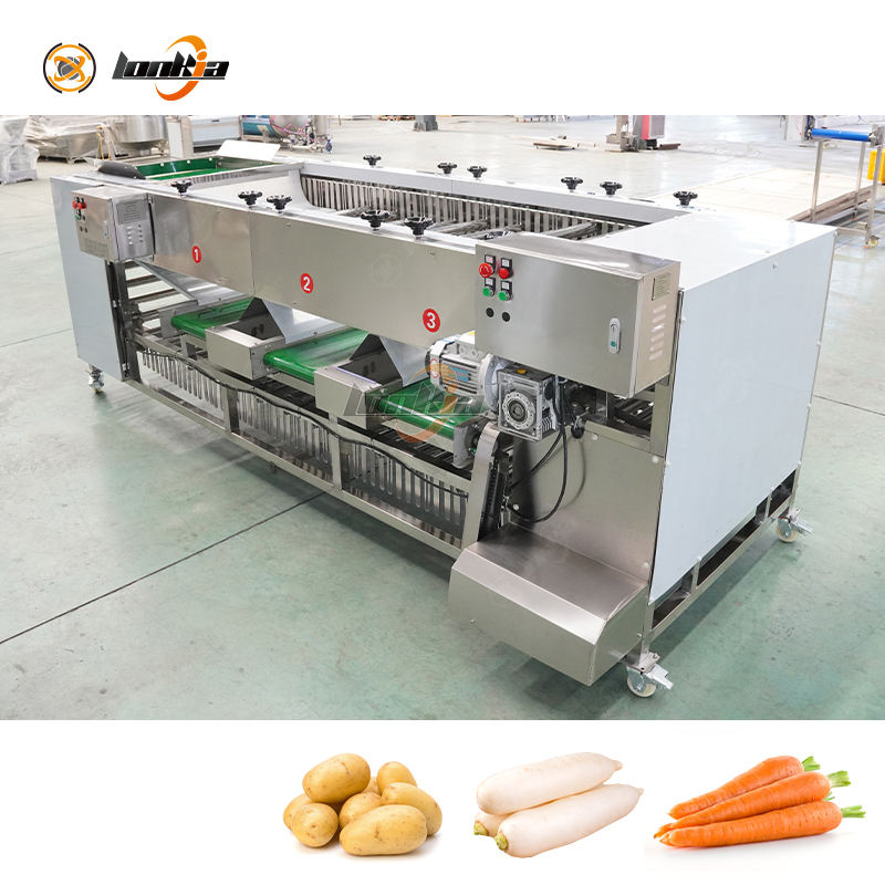 Roller Type Automatic Vegetable Fruit Carrot Radish Grading Sorting ...