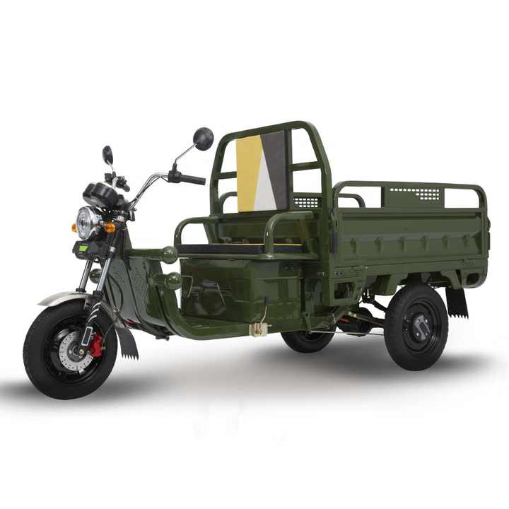 1000W Three Wheel Electric Tricycle with Cargo Box - OEM | Wholesale