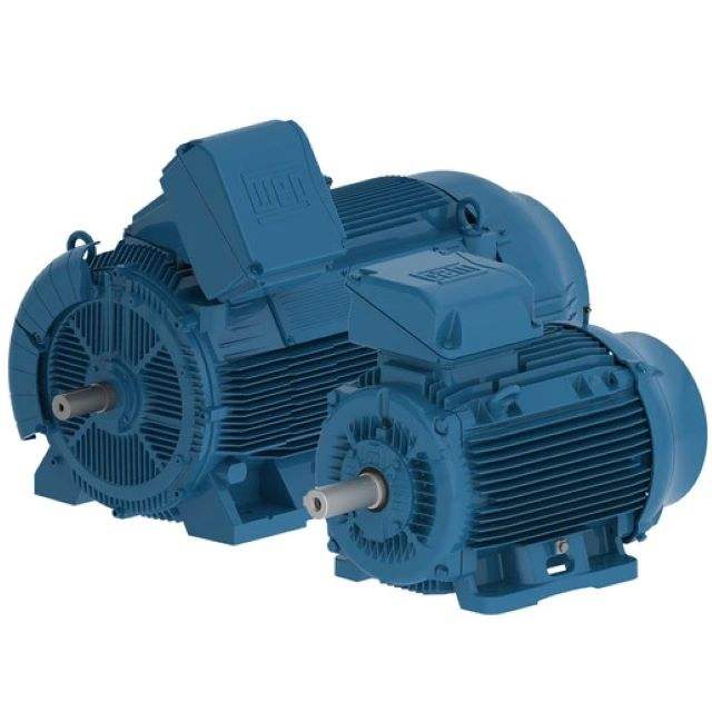 WEG Three-Phase Induction Motor 300KW 400HP W20 W21 W22 IE2 IE3 ...