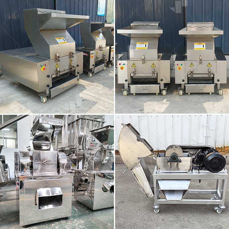 Seashells Egg Shells Best Herbal Pepper Root Sugar Biscuit Leaf ...