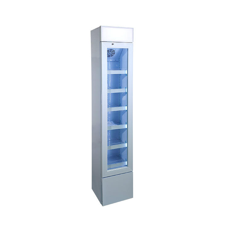 2025 New 105L Stainless Steel 304 Vertical Single Temperature Ultra ...
