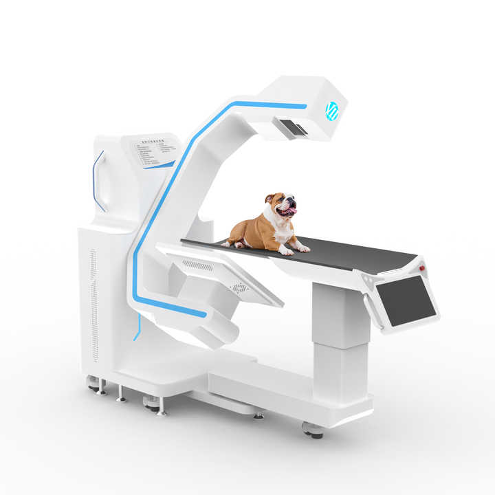 Optimized Low Dose CT Scan for Canine Neuro Diagnostics Enhanced ...