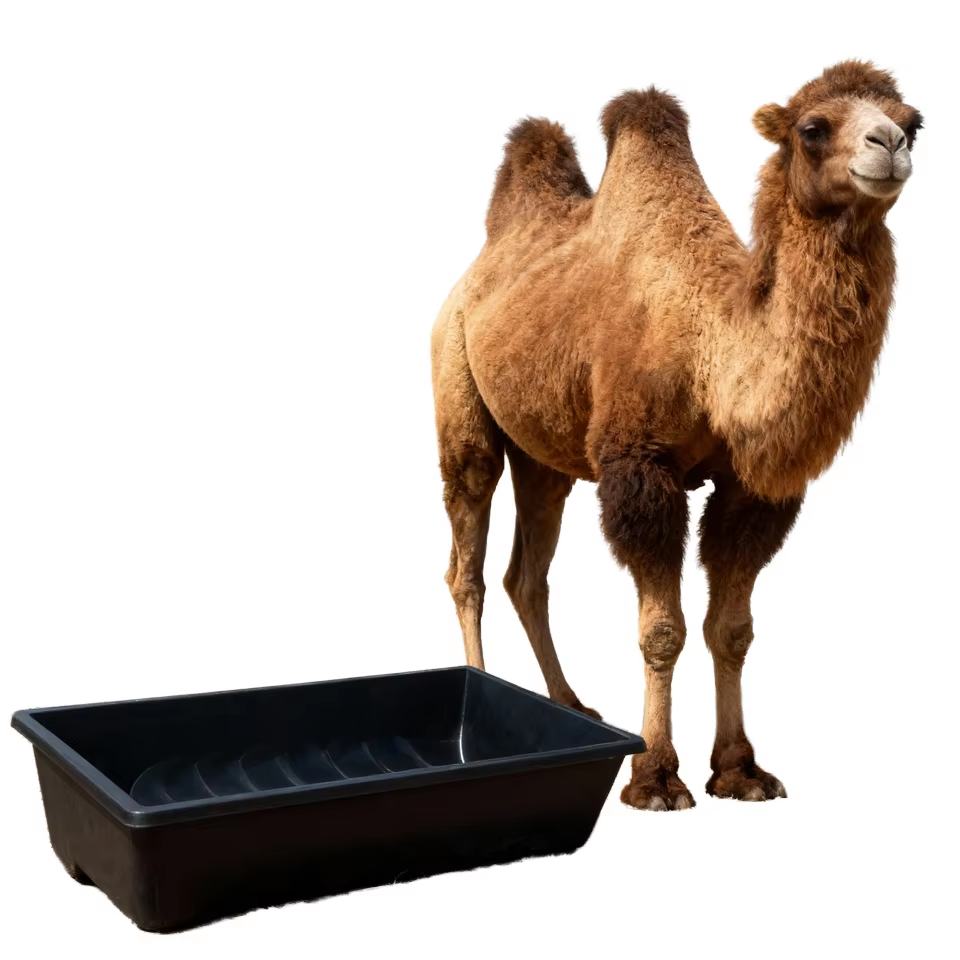 Camel Feed Trough Farm Trough Goat Farming Equipment Livestock Feed ...