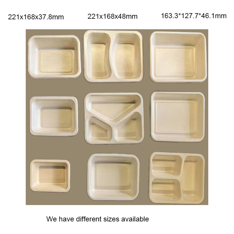 Custom PET PP PLA Coating Food 3 Compartment Meal Tray Biodegradable ...