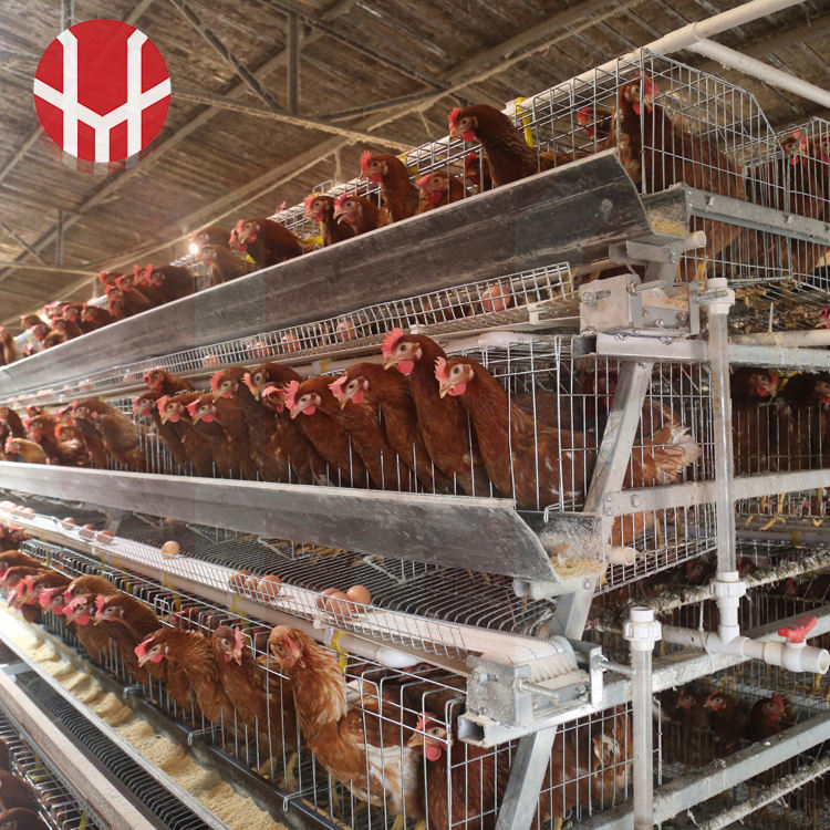 Chicken Breeding Cage Automatic Layer Chicken Cage RTL Poultry Chicken ...