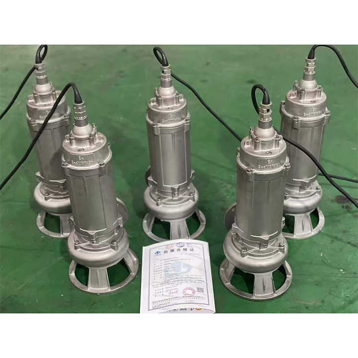 Single 304 Stainless Steel Sewage Pump New Explosion-Proof Submersible ...