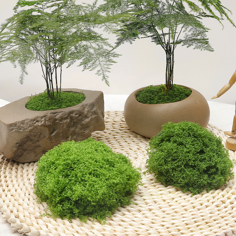 How to Choose Artificial Moss for Candles: A Complete Buying Guide