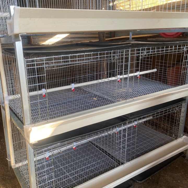 H Type Broiler Chicken Cage 3 Tier High Capacity Commercial Poultry ...