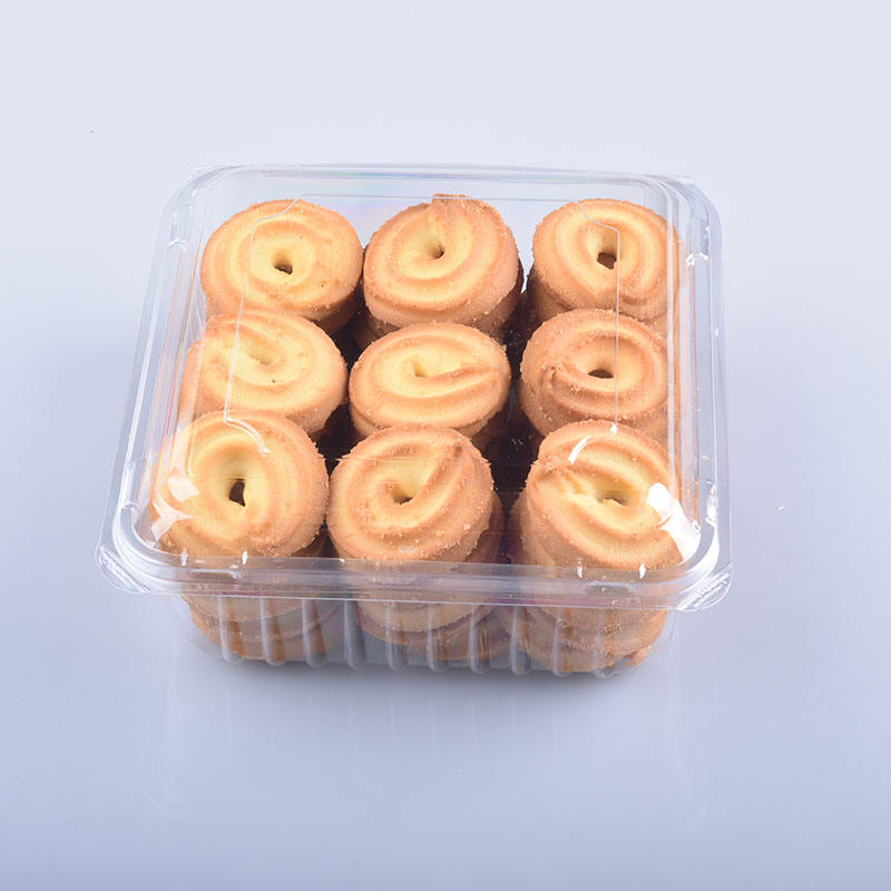 High Quality Plastic Clamshell Cookie Container - SGL-1000A