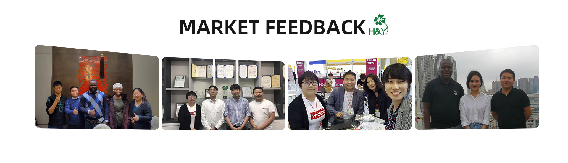 Premium Quality palm seed powder Solutions for Health Care Buyers