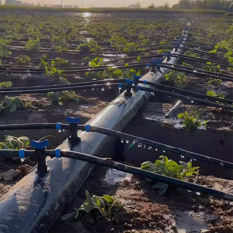 PE Flat Dripper Drip Tape Irrigation Kit 1 Hectare Farm Water-Saving ...