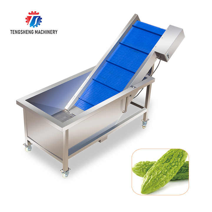 Stainless Steel Automatic Vegetable and Fruit Elevator