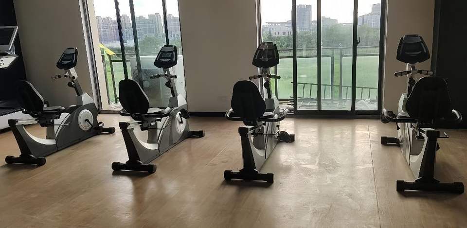 YL-RB02 Commercial Recumbent Magnetic Exercise Bike with Cup Holder ...