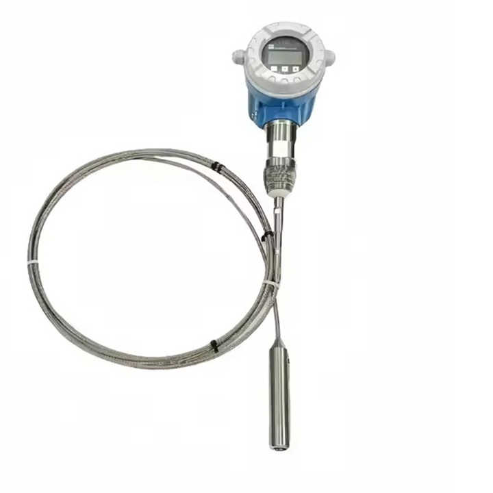 E+H FTL51B Tuning Fork Level Detection Switch for Water Medium| Alibaba.com