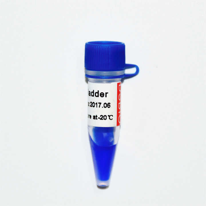 200bp DNA Ladder, Marker, OEM| Alibaba.com