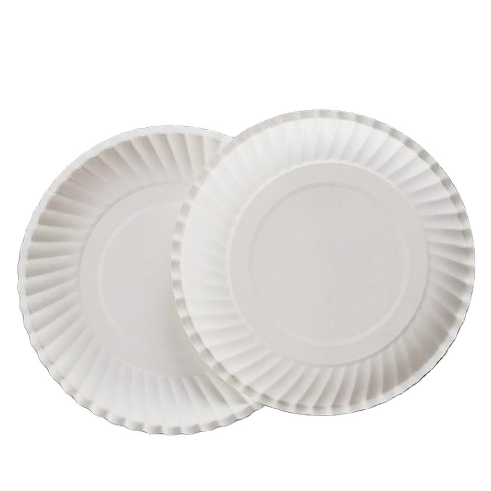 Ecofriendly 9 Inch Paper Plate for Promotional Design Your Own Birthday ...