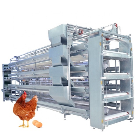 H Type Automatic Broiler Cage - Efficient Chicken Farming