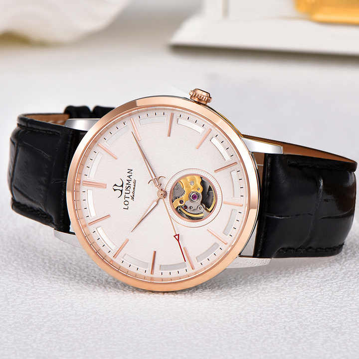 Reasonable Price Luxury Mechanical Mens Watches in Wristwatches Oem ...
