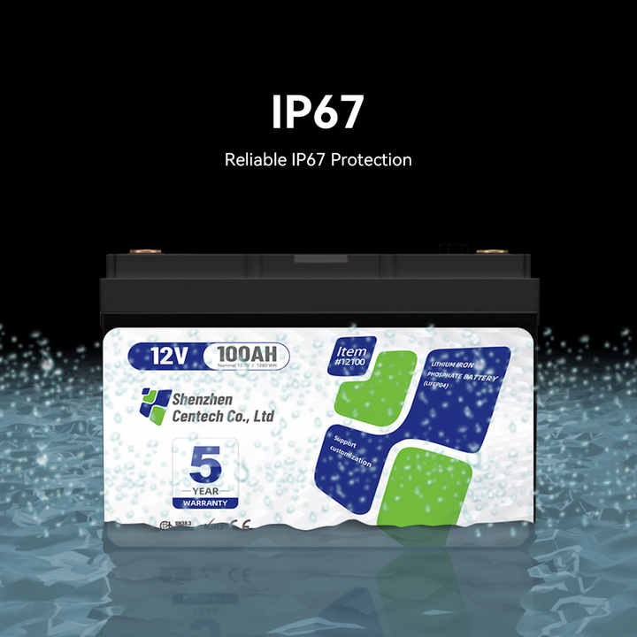 12V 100Ah Lifepo4 Battery Pack RV Backup Power 6000 Cycles Smart BMS ...