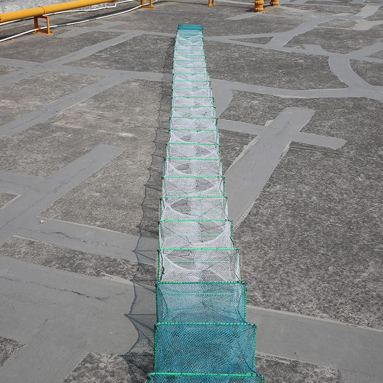 Crab Farming Boxes - High Quality RAS System Solution