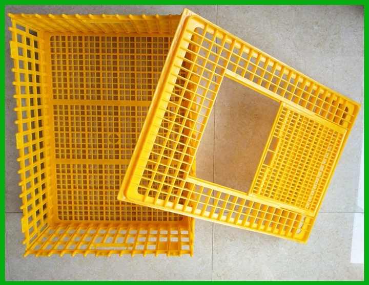 Transportation Cage Transfer Boxes Plastic Chicken Transport Crates ...