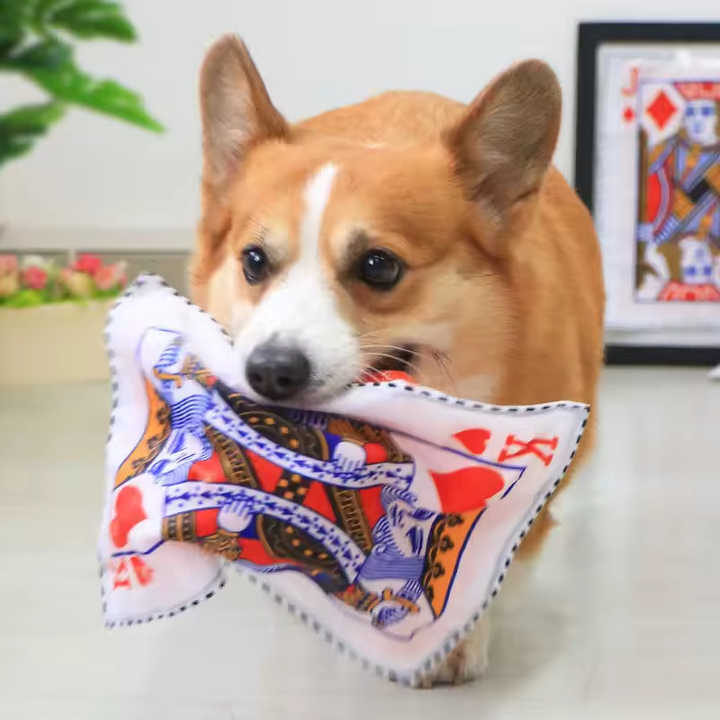 Songci Tough Durable Poker Newspaper Shape Sound Crinkle Paper Pet Dog ...