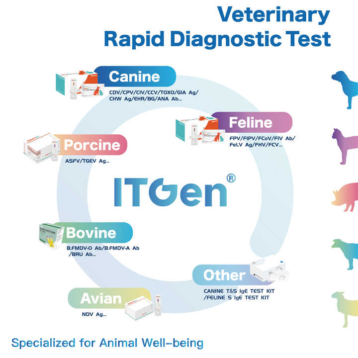 Dog test Kit Veterinary Products Rapid test Diagnostic Babesiosis ...