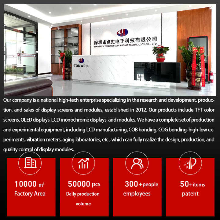 Custom 7 Segment Digital LCD Display Screen - OLED & OEM | Wholesale