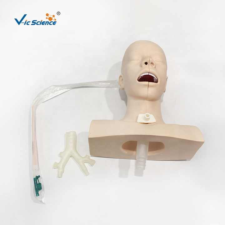 Medical Science Nursing Manikin Sputum Suction Nursing Model Medical ...