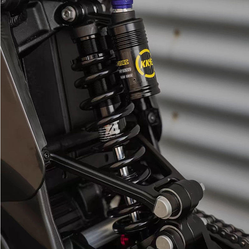 Arctic Leopard Clouded Leopard XE Pro S Performance Electric City ...