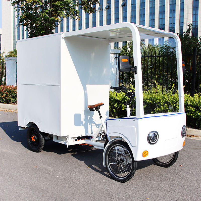 Express Delivery Quadracycle Pedal Assist Electric Cargo Bike Cargo ...