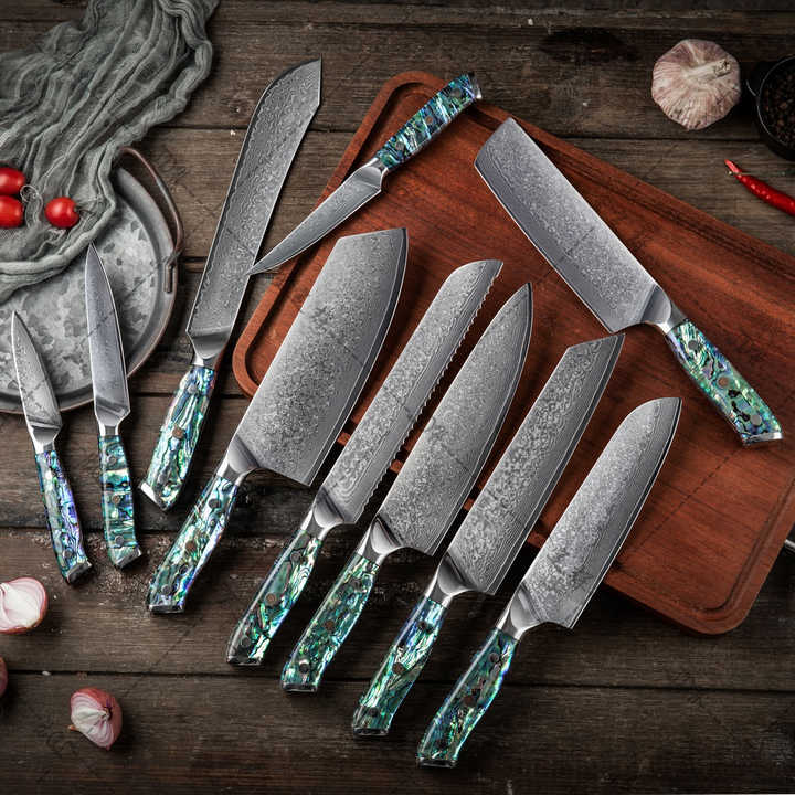 10pcs Kitchen Knives Set with Abalone Shell Handles