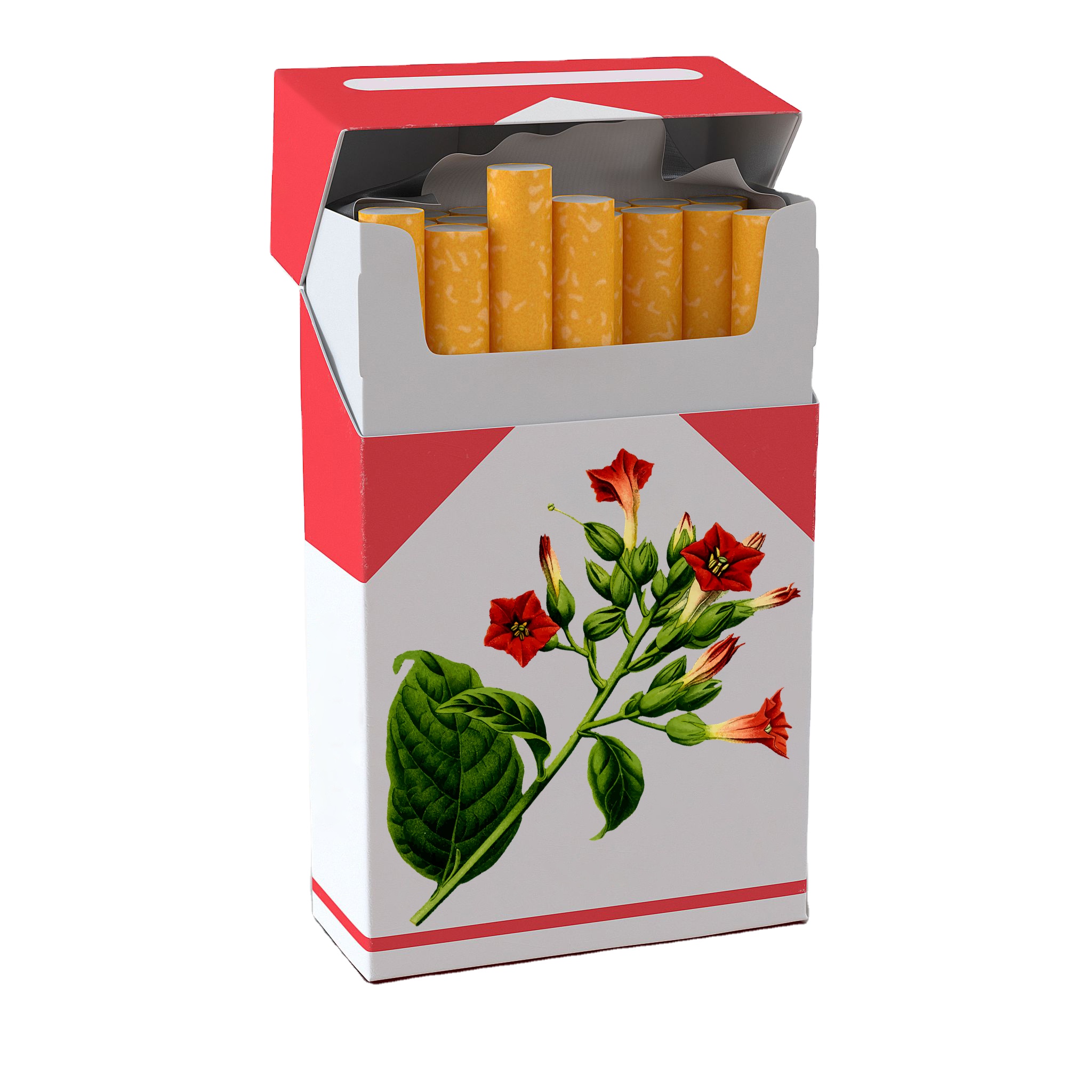 Custom Cigarette Box - Luxury Print & Rigid Design