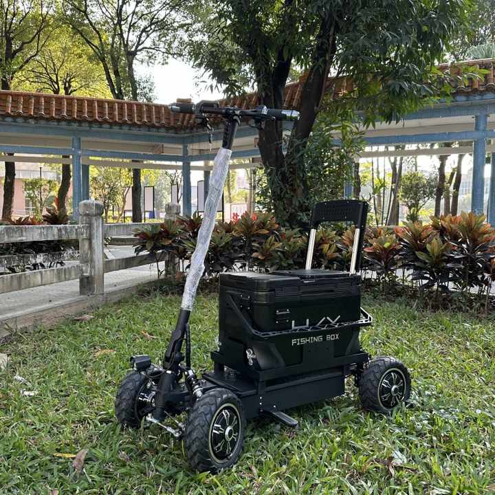 2000W Dual Motor Lithium Battery 4 Wheel Cart Electric Scooter Electric ...