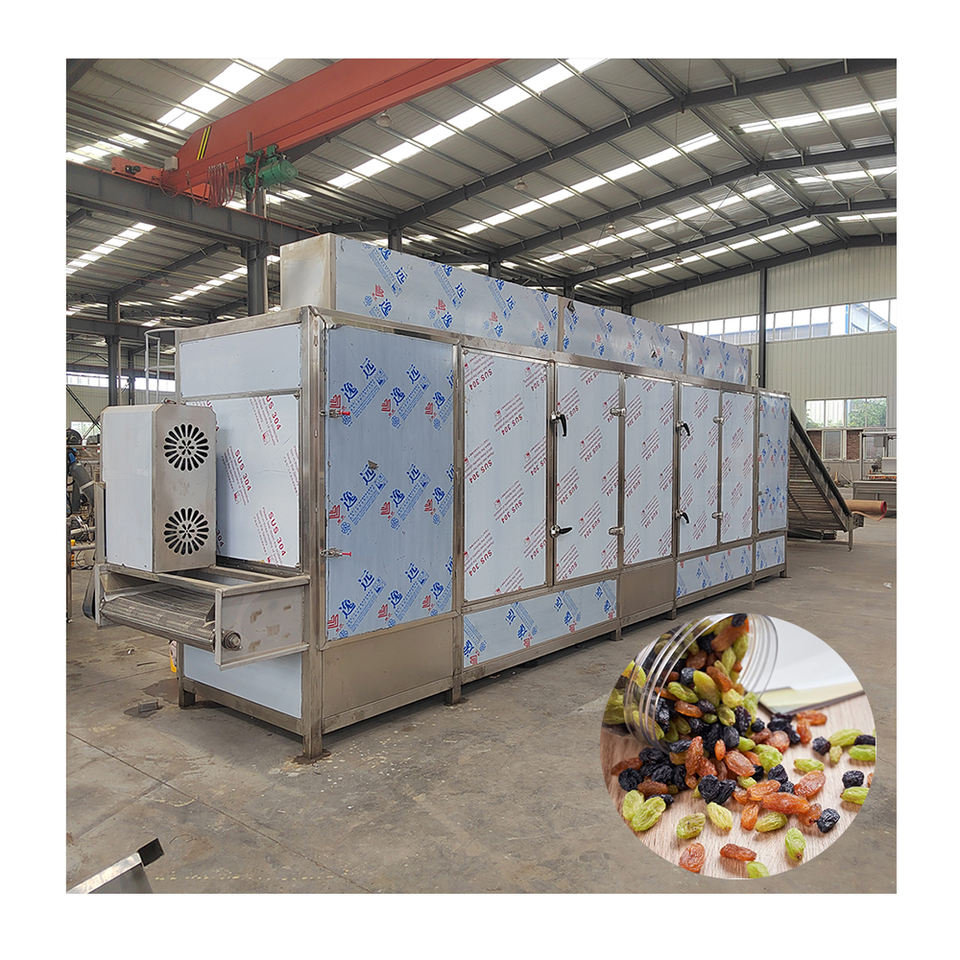 1 Ton/h 304 Stainless Steel PLC Controlled Raisin Drying Machine ...
